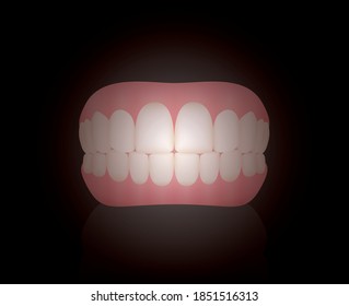 False Teeth Dentures Isolated Vector Illustration Stock Vector (Royalty ...