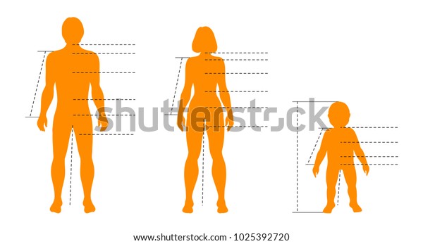 Family Set Human Bodies Pointers Indicators Stock Vector (Royalty Free ...