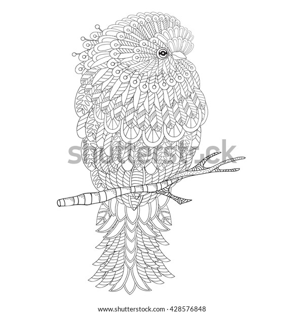 Fantastical Bird coloring book. Amazing bird with feathers and patterns ...