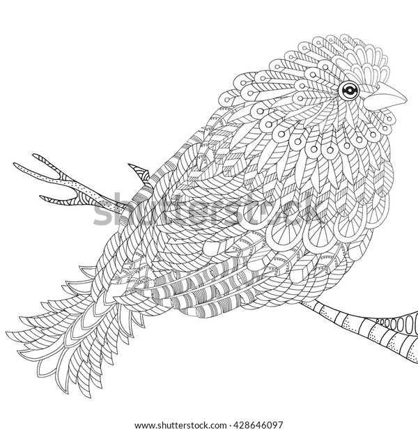 Fantastical Bird Coloring Book Amazing Bird Stock Vector (Royalty Free ...