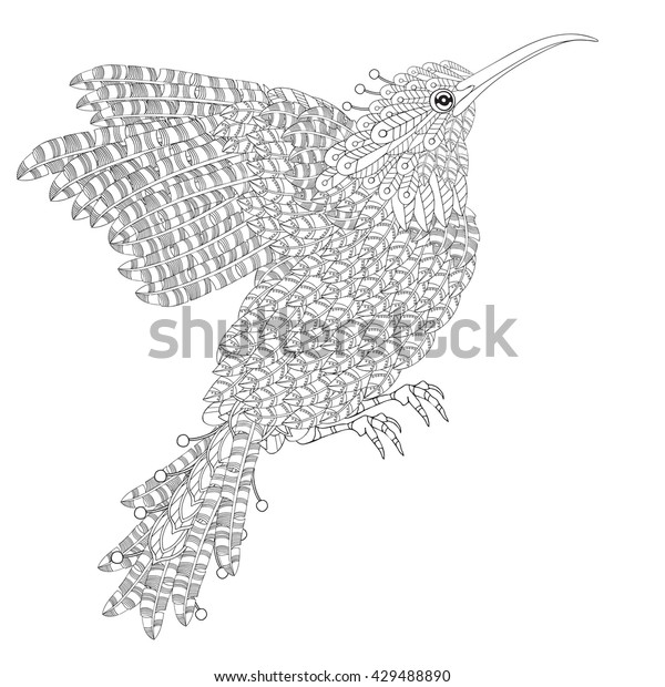 Fantastical Flying Bird Coloring Book Amazing Stock Vector (Royalty ...