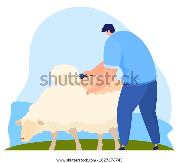 Farm Animals Farmer Sheep Shearing Vector Stock Vector (Royalty Free ...