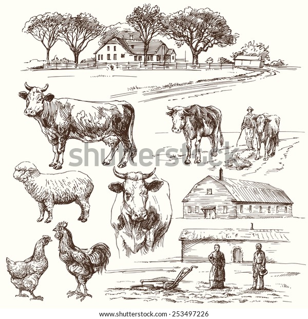 5,084 Cow And Farmer Drawing Stock Vectors, Images & Vector Art ...