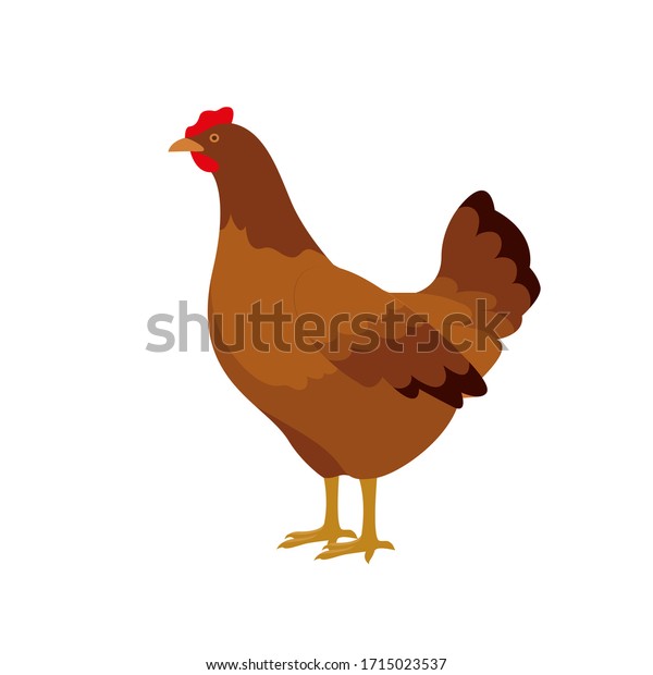 Farm Animals Hen Chicken Vector Stock Vector (Royalty Free) 1715023537 ...