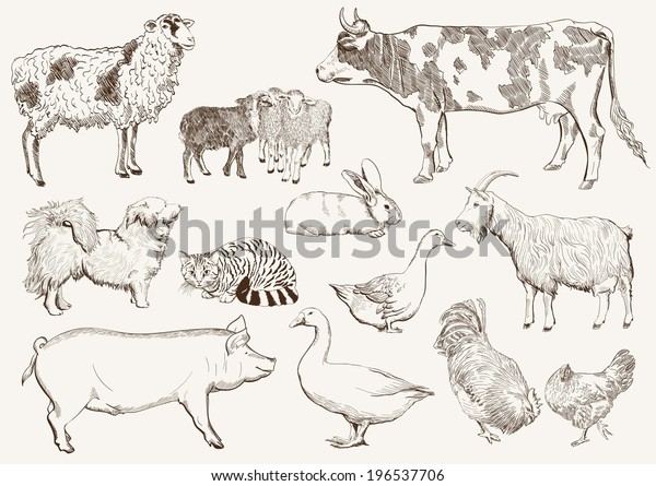 Farm Animals Set Vector Sketches On Stock Vector (Royalty Free) 196537706