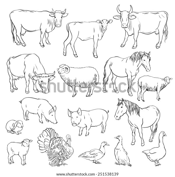 Farm Animals Set Vector Sketches On Stock Vector (Royalty Free) 251538139