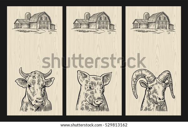 Farm Animals Set Vertical Poster Template Stock Vector (Royalty Free ...