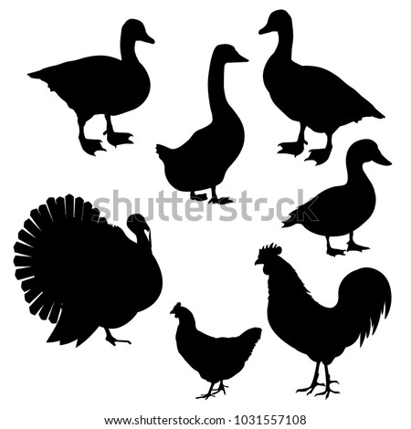 Turkey Outline | Free download on ClipArtMag