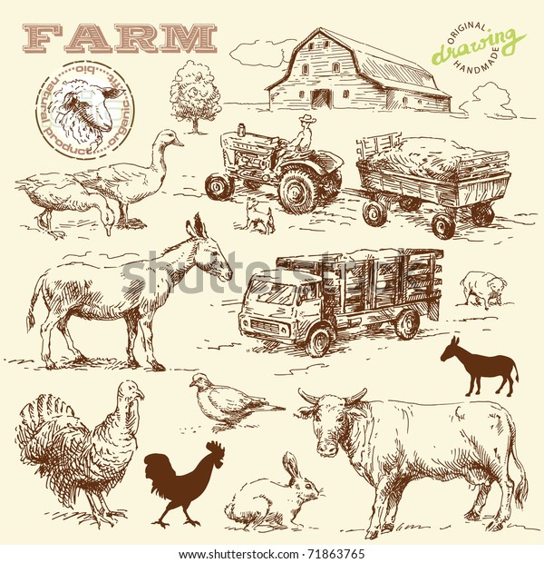 Farm Collectionhandmade Drawing Stock Vector (Royalty Free) 71863765