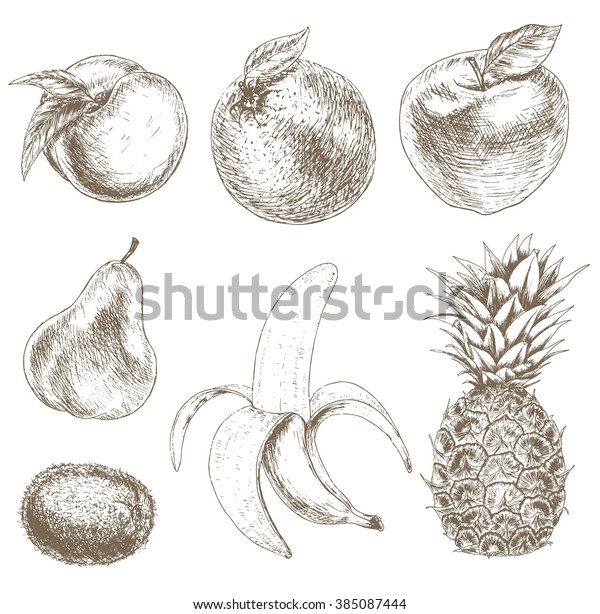 Farm Fruit Sketch Hand Draw Illustration Stock Vector (Royalty Free ...