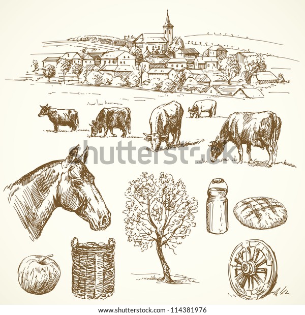 Farm Hand Drawn Collection Stock Vector (Royalty Free) 114381976 ...
