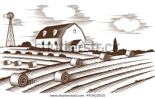 Farm Landscape Engraved Color Vector Illustration Stock Vector (Royalty ...
