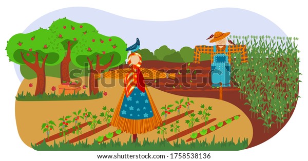 Farm Scarecrows On Field Harvest Autumn Stock Vector (Royalty Free ...