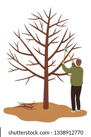 51,761 Pruning trees Images, Stock Photos & Vectors | Shutterstock