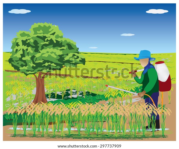 Farmer Insecticide Paddy Field Vector Design Stock Vector (Royalty Free ...