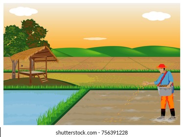 Farmer Paddy Field Vector Design Stock Vector (Royalty Free) 756391228 ...