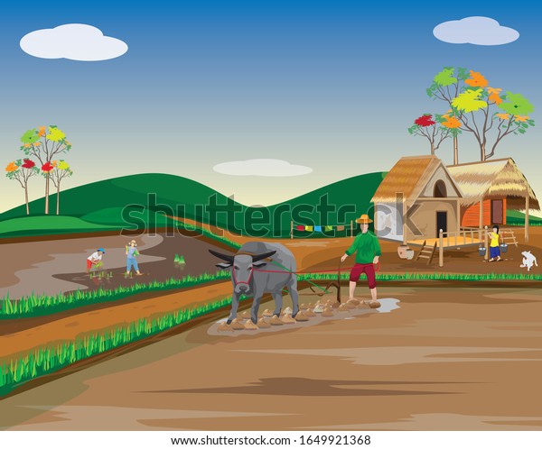 Farmer Plowing Paddy Field Vector Designlifestyle Stock Vector (Royalty ...