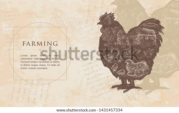 Farming. Rooster double exposure. Renaissance background. Medieval ...