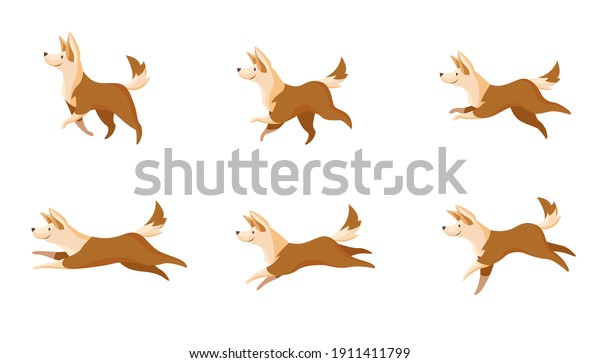 Fast Slow Dogs Movement Set Side Stock Vector (Royalty Free) 1911411799