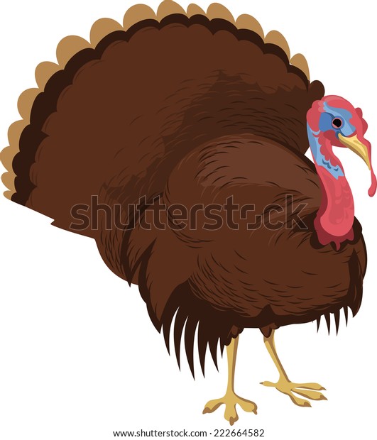 Fat Turkey Cartoon Vector Illustration Stock Vector (Royalty Free ...