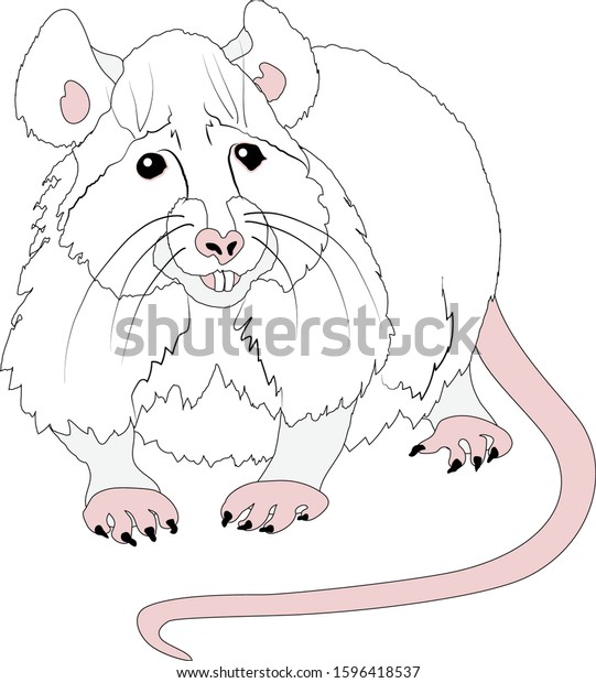 Fat White Rat Vector Illustration Stock Vector (Royalty Free ...
