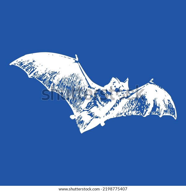 Fear Bat Halloween Wings Fly Flying Stock Vector (Royalty Free ...