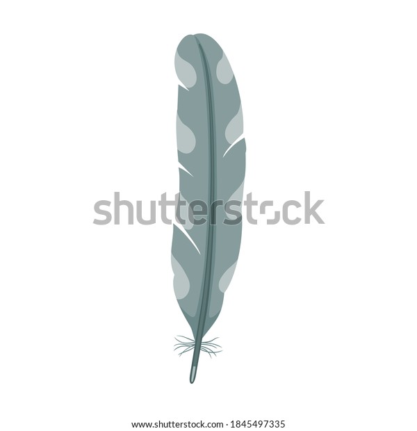 Feather Bird Cartoon Vector Iconcartoon Vector Stock Vector (Royalty ...