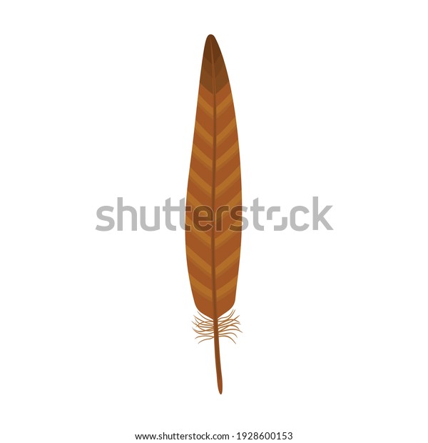 Feather Bird Cartoon Vector Iconcartoon Vector 库存矢量图（免版税）1928600153 ...