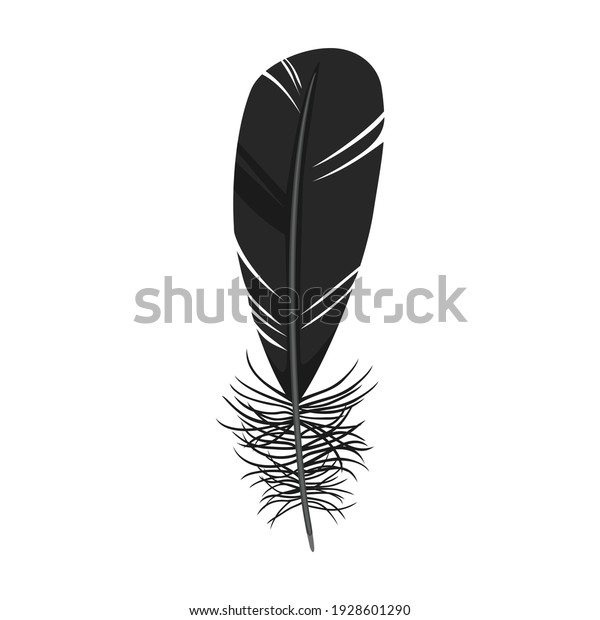 Feather Bird Cartoon Vector Iconcartoon Vector Stock Vector (Royalty ...