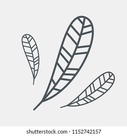 Feather Fluff Drawn Leaflet Quality Vector Stock Vector (Royalty Free ...