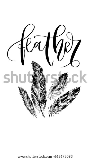 Feather Hand Drawn Lettering Modern Calligraphy Stock Vector (Royalty ...