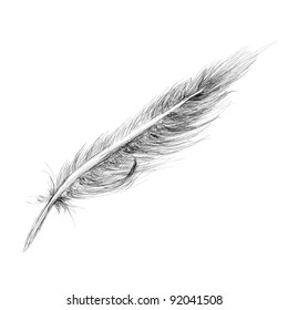 2,397 Falling feathers drawing Images, Stock Photos & Vectors ...