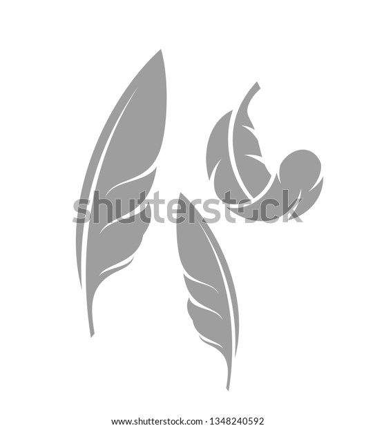 Feather Icon Set Isolated Feathers On Stock Vector (Royalty Free ...
