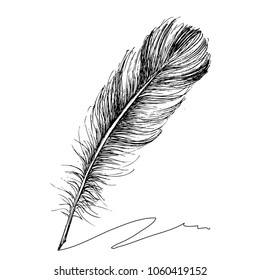 Feather Ink Stock Vector (Royalty Free) 1060419152 | Shutterstock