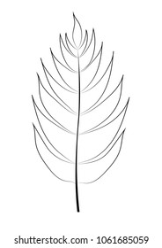 Feather Outline Vector Stock Vector (Royalty Free) 1061685059 ...