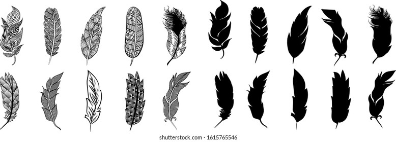 Feather Vector Set Collection Graphic Clipart Stock Vector (Royalty ...