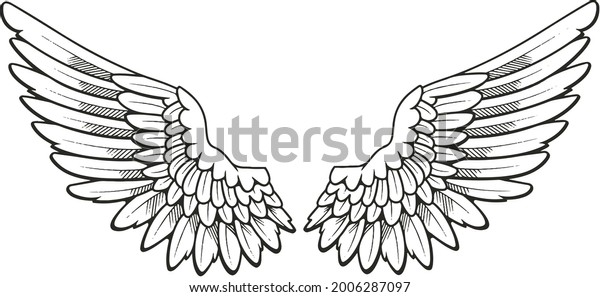 Feather Wing Illustration Design Art Stock Vector (Royalty Free ...