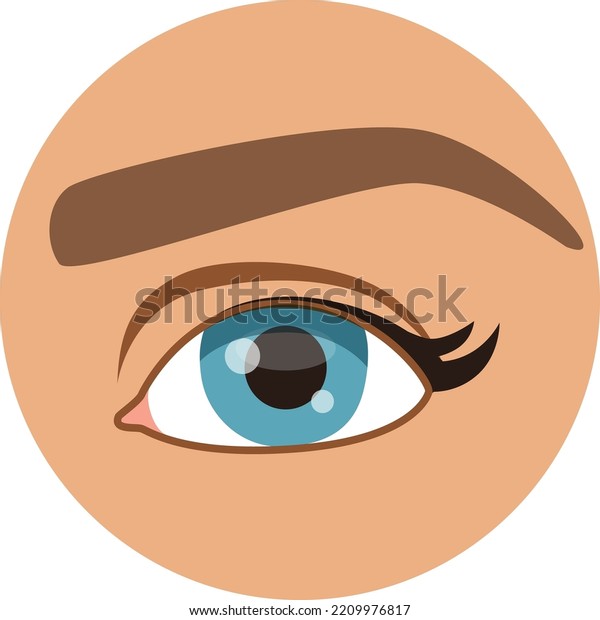 Female Eye Human Vision Round Icon Stock Vector (Royalty Free ...
