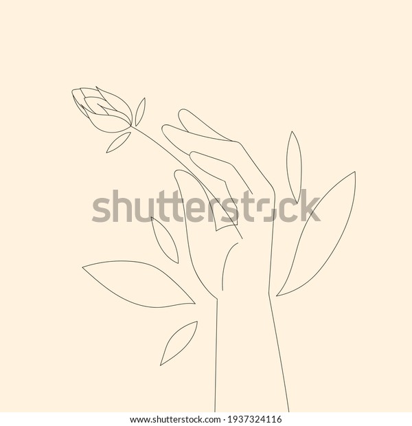Female Hand Holding Flower Vector Illustration Stock Vector (Royalty ...