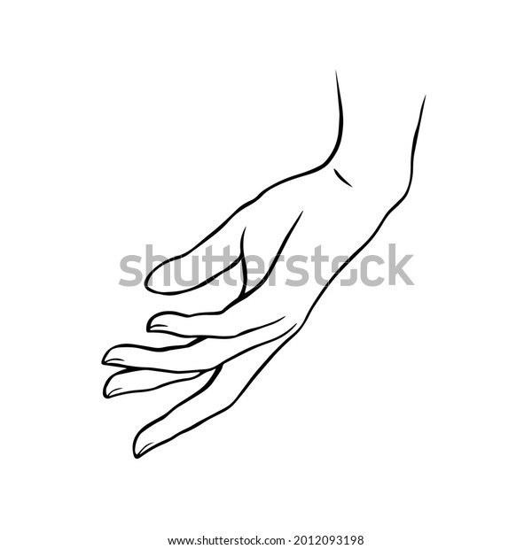 Female Hand Outline Caring Delicate Skin Stock Vector (Royalty Free ...