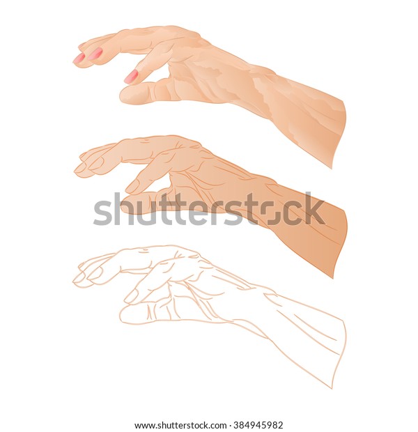 Female Hand Three Color Drawing Outline Stock Vector (Royalty Free ...