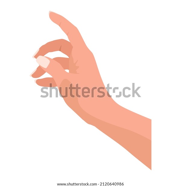 Female Hand Vector Illustration Isolated On Stock Vector (Royalty Free ...