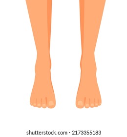 Female Legs Barefoot Side View Graceful Stock Vector (Royalty Free ...