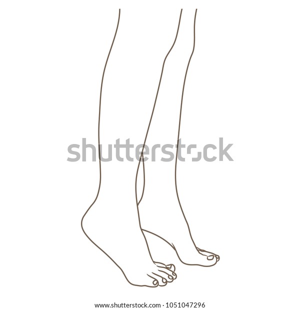 Female Legs Barefoot Side View Vector 스톡 벡터(로열티 프리) 1051047296 ...