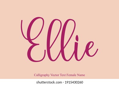 Female Name Nora Beautiful Cursive Handwritten Stock Vector (Royalty ...