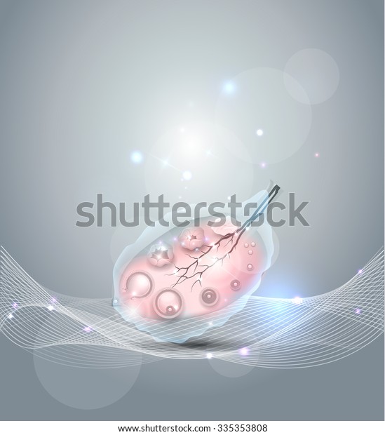 Female Ovary Ovulation Step By Step Stock Vector (Royalty Free ...