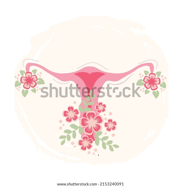 Female Reproductive System Flowers Feminine Gynecology Stock Vector