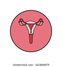 Female Reproductive System Icon Vector Stock Vector (Royalty Free ...