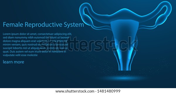 Female Reproductive System Wireframe Theme Concept Stock Vector ...