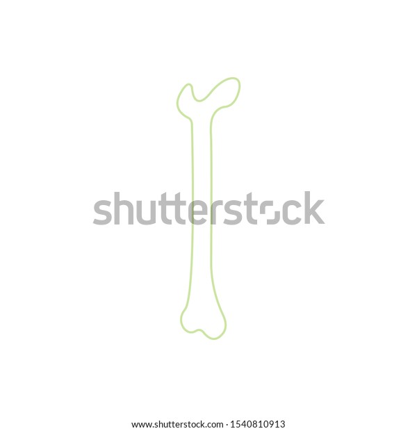 Femur Bone Outline Style Logo Icon Stock Vector (Royalty Free ...
